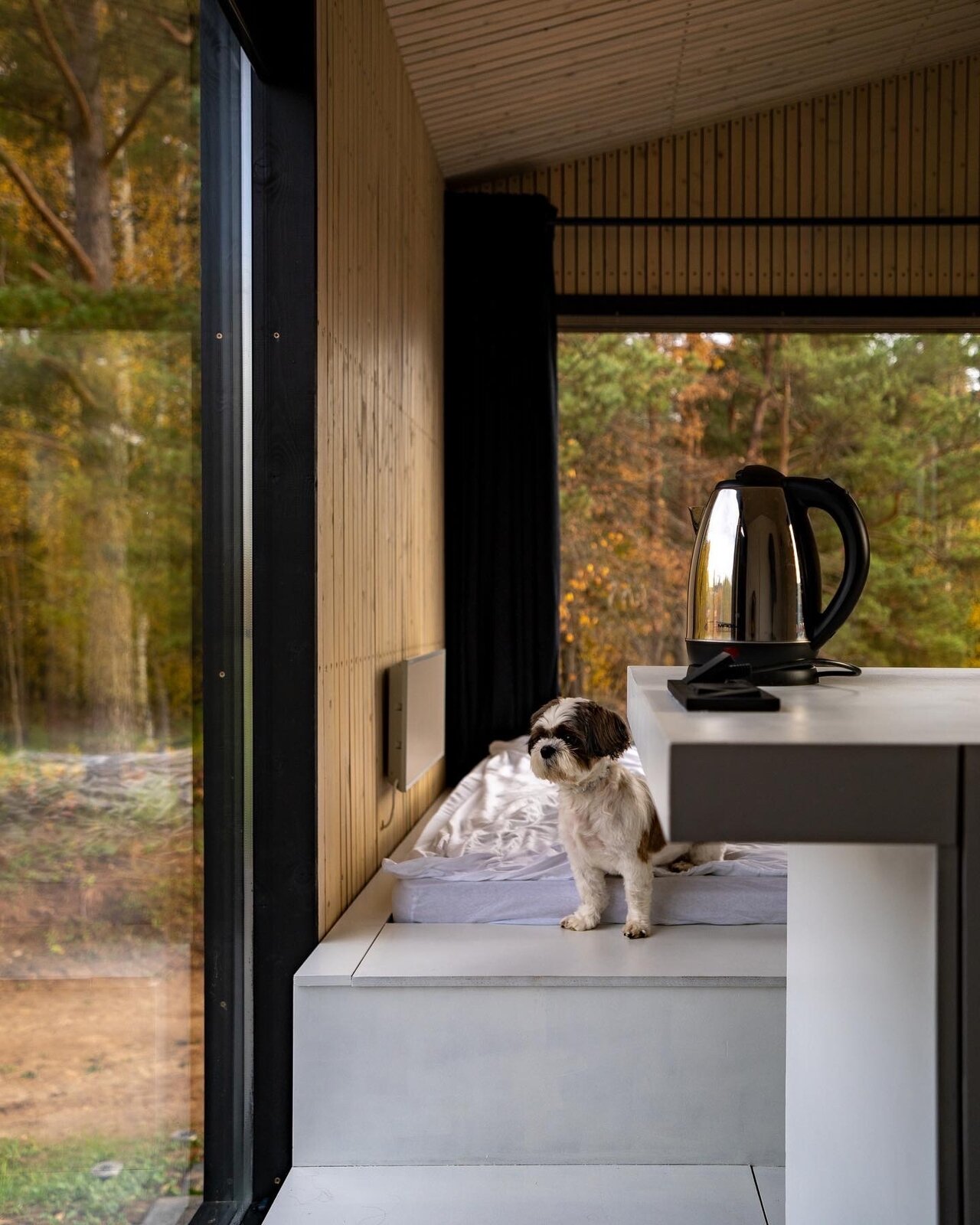 Photo 7 of 10 in NOMAD HOUSES by ZROBIM architects - Dwell