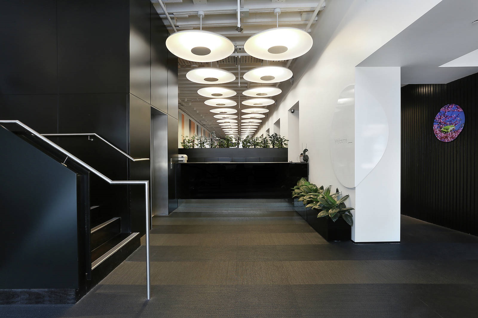 Daniel Marano - Oxford Real Estate Agency