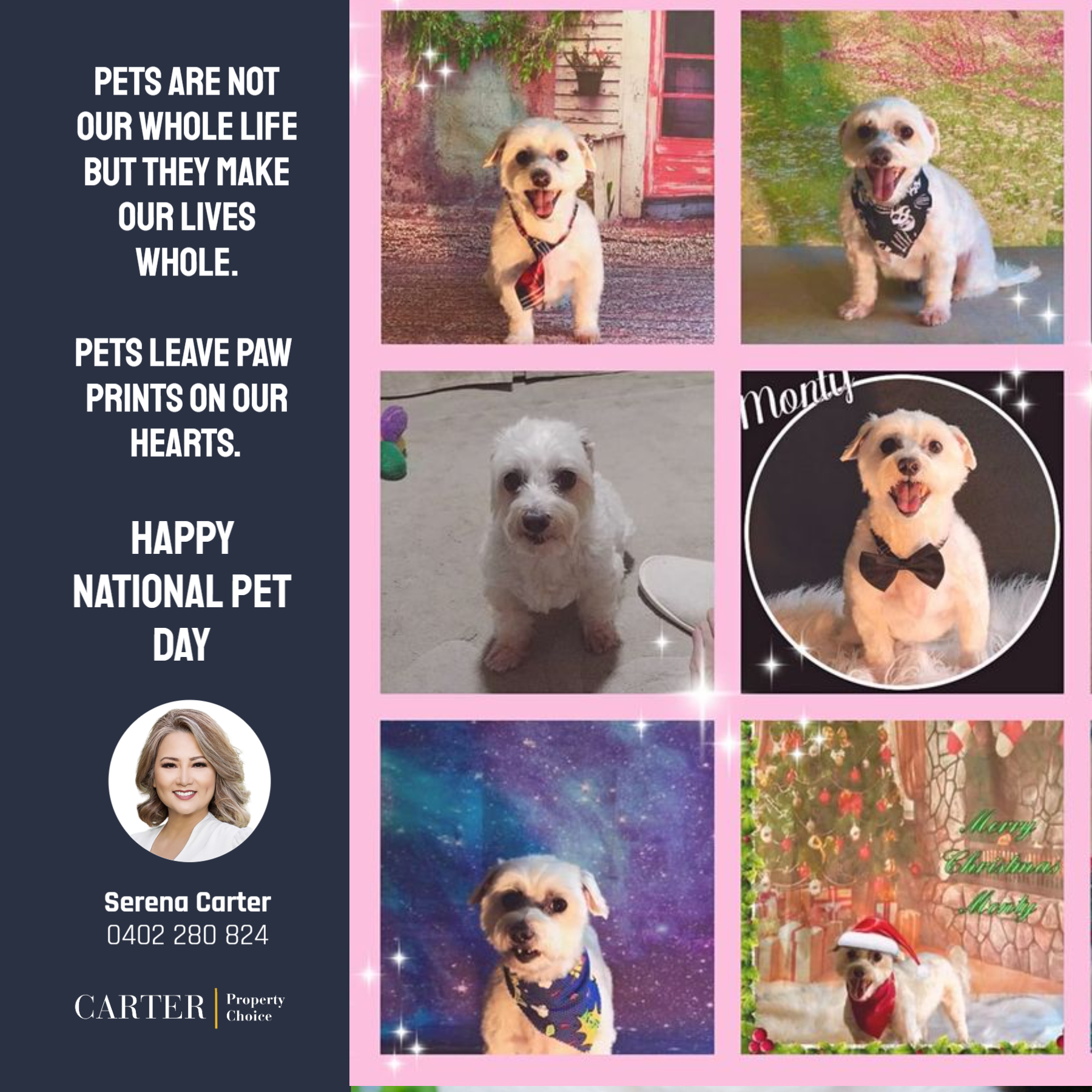 Post | Carter Property Choice