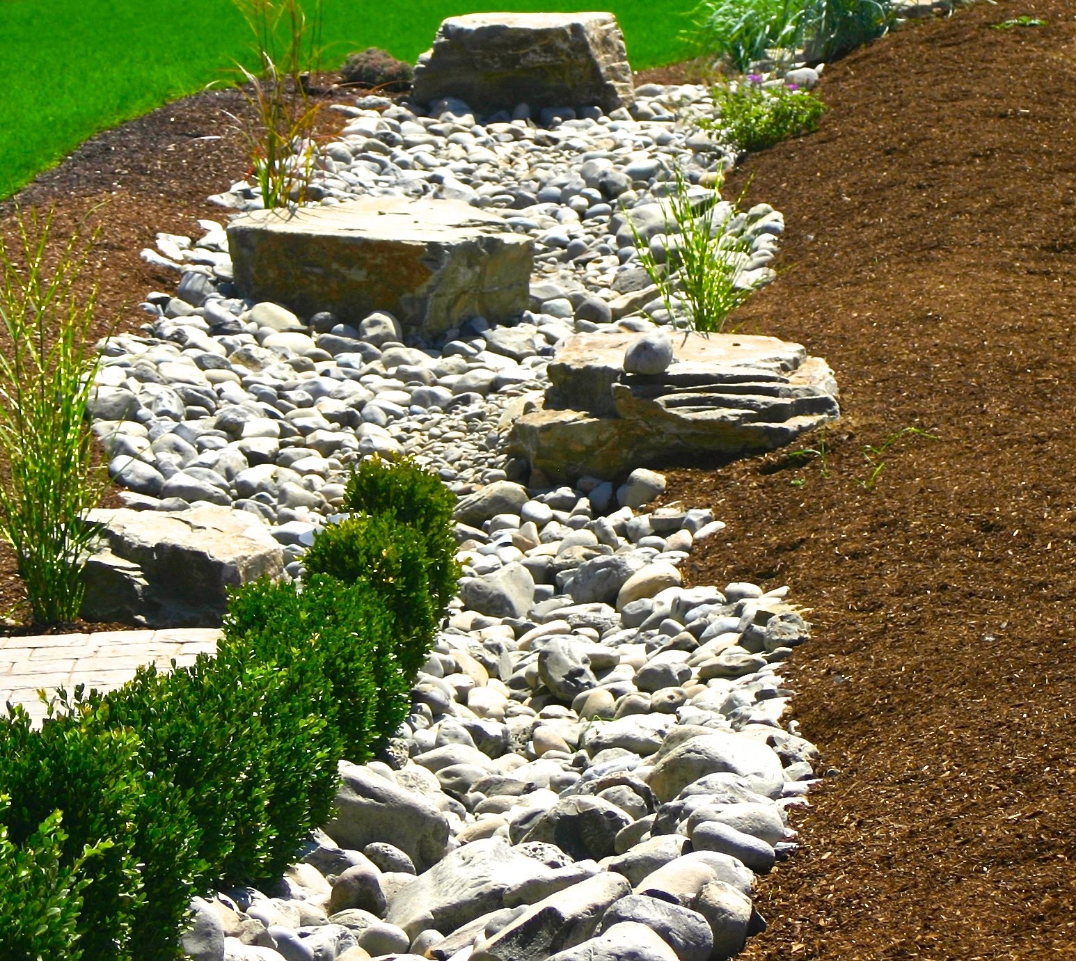 Dry-bed-0707-Copy - Northwest Turf and Trees