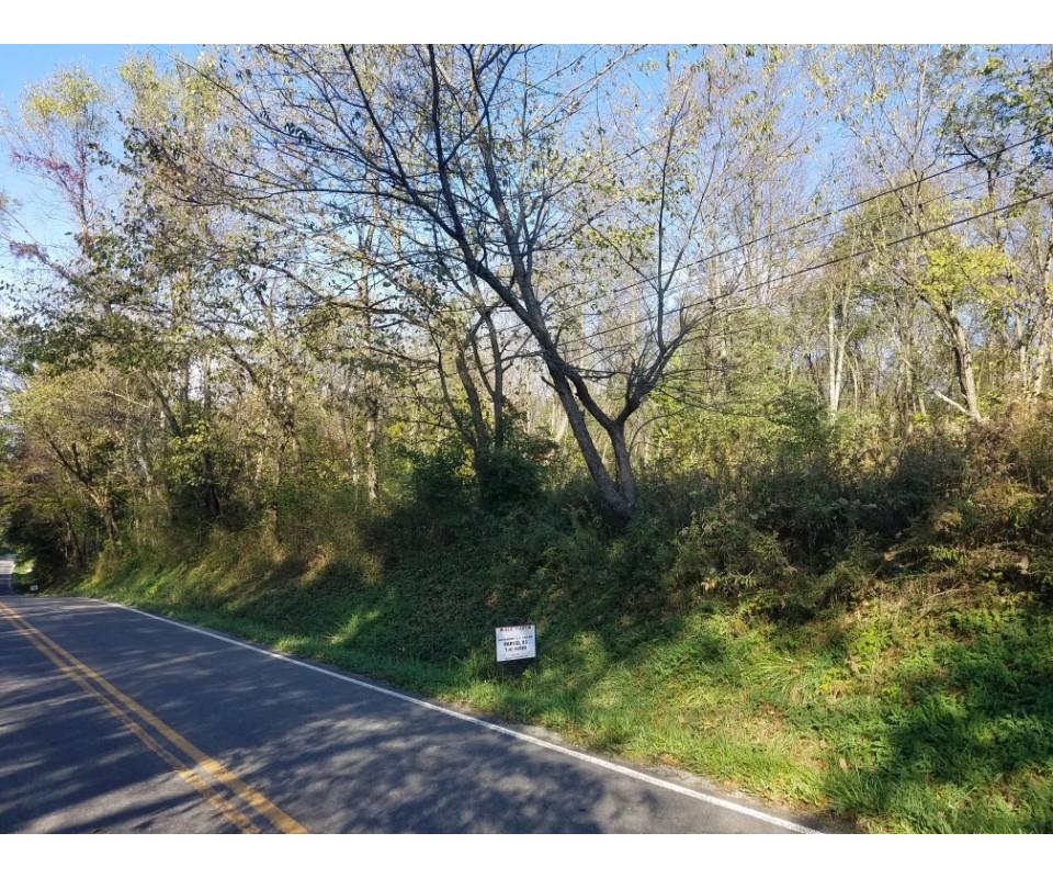 Williams Real Estate Auction