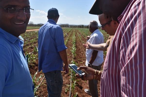 Seeds Go Digital: Faster And Better-Quality Certification, A… | Seed