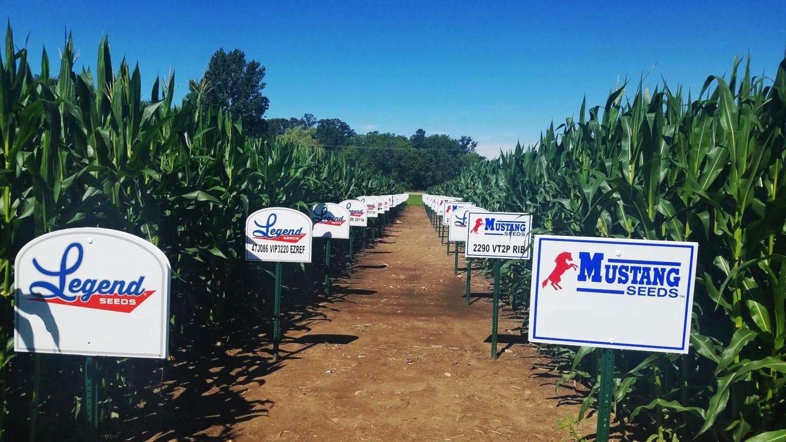 Mustang Seeds, Inc. Adds Legend Seeds, Inc. As A Distributor Of…