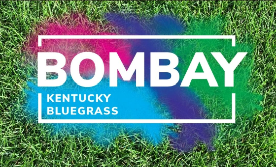 GO Seed Adds Two New Kentucky Bluegrasses To Portfolio | Seed Today