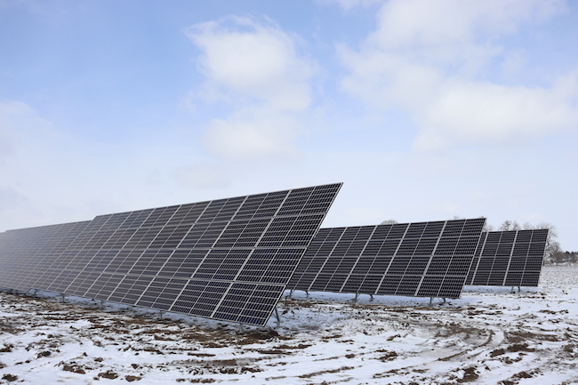 Total Seed Production Completes Solar Panel Installation | Seed Today