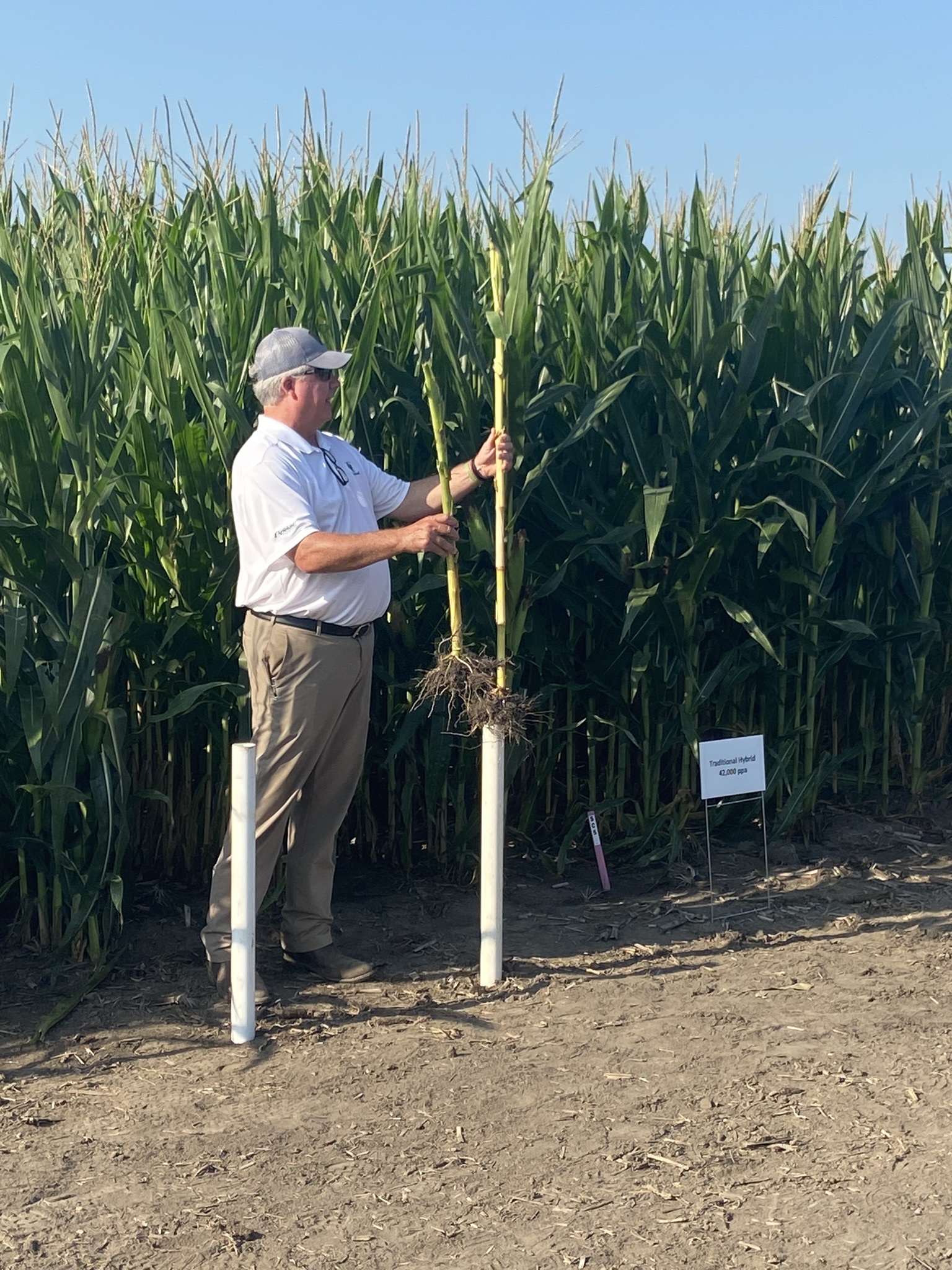 AgReliant Genetics Highlights Product Development Initiatives | Seed…