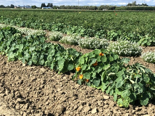 Bayer Showcases Importance of Biodiverse Ecosystems With Green Farm…