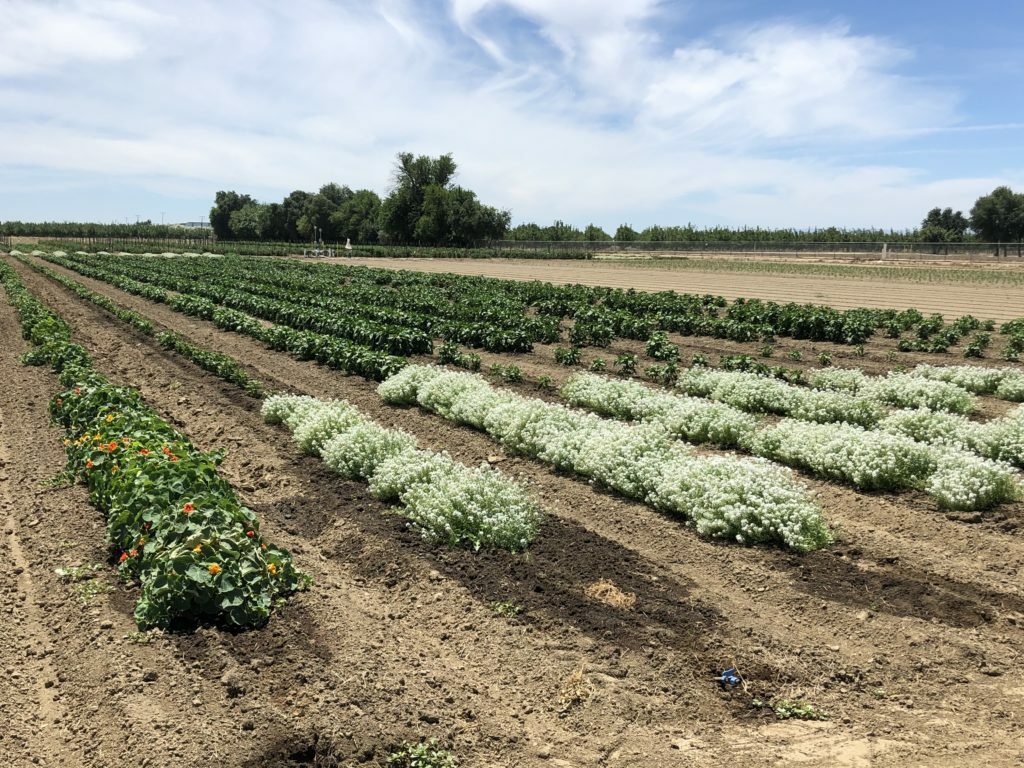 Bayer Showcases Importance of Biodiverse Ecosystems With Green Farm…