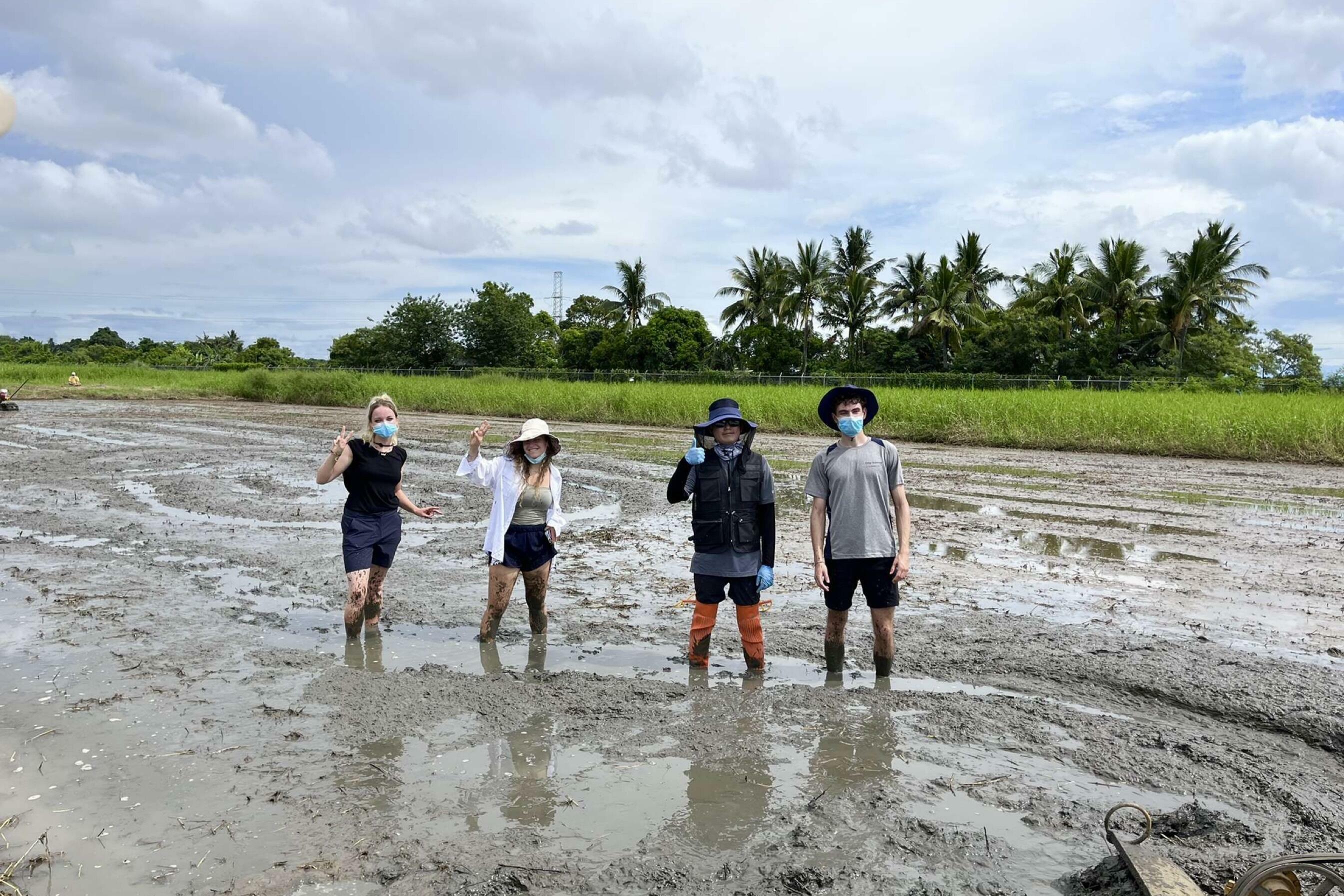 Hands-On Rice Research At IRRI Inspires Undergrads Toward Work In Food