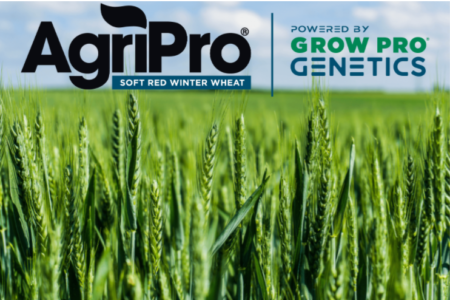 Seed Today | Grow Pro Genetics Acquires Syngenta’s AgriPro Soft Red…