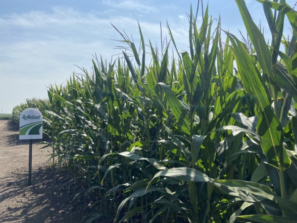 Seed Today | AgReliant Genetics Highlights Product Development…