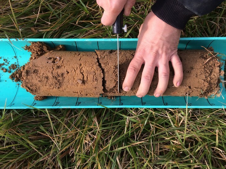 Cover Crop Roots Are An Essential Key To Understanding Ecosystem…