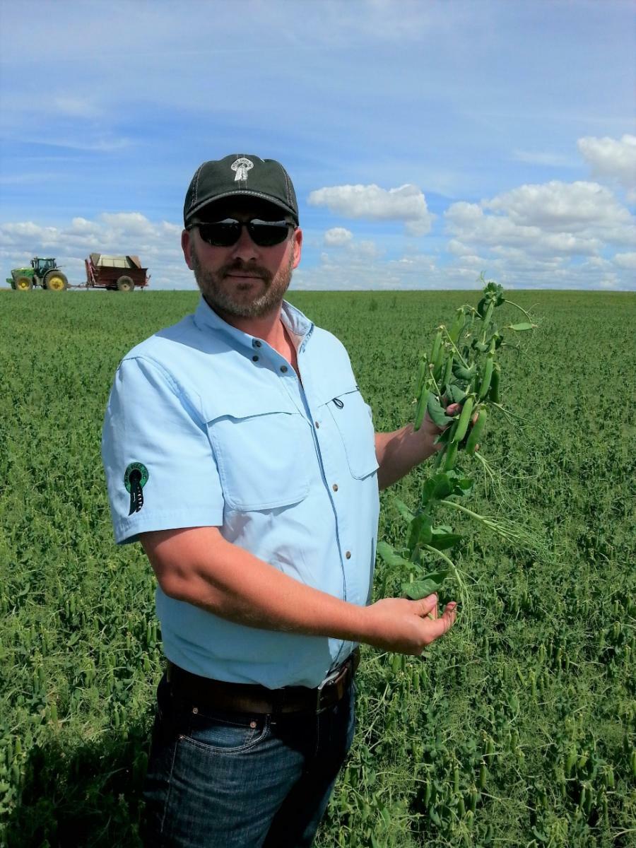 Crites Seed Inc Joins Elsoms’ International Business, Delivering Top