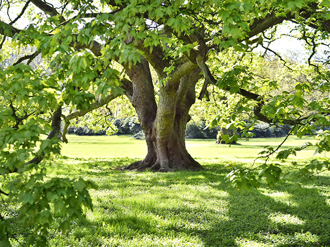 New Homes Redmond, OR at Maple Meadows | Hayden Homes