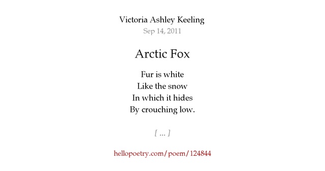 Arctic Fox by Victoria Ashley Keeling - Hello Poetry