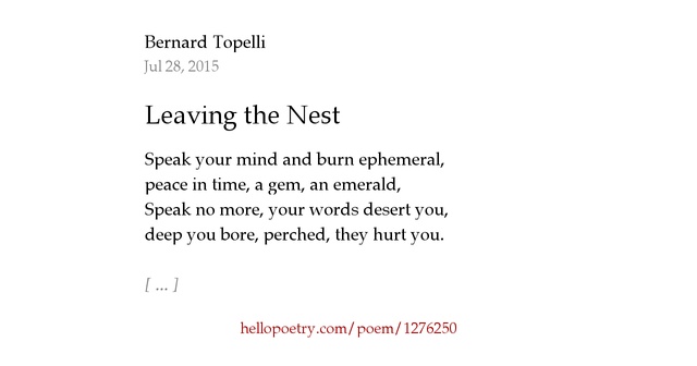 Leaving the Nest by Sour Patched Kid - Hello Poetry