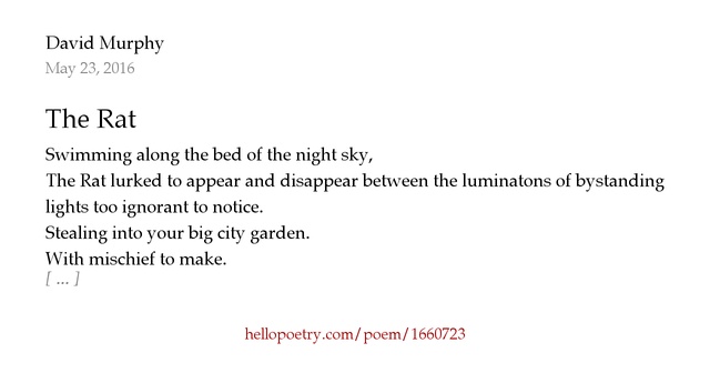 The Rat by David Murphy - Hello Poetry