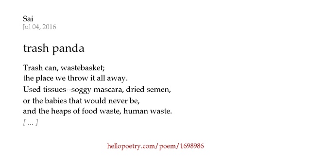 trash panda by Sai - Hello Poetry