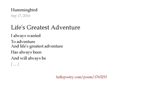 Life's Greatest Adventure by Hummingbird - Hello Poetry
