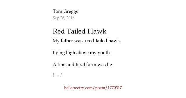 Red Tailed Hawk by Tom Greggs - Hello Poetry