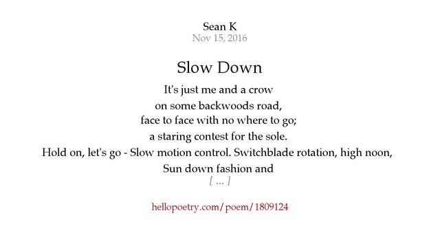 Slow Down by Bizarro - Hello Poetry