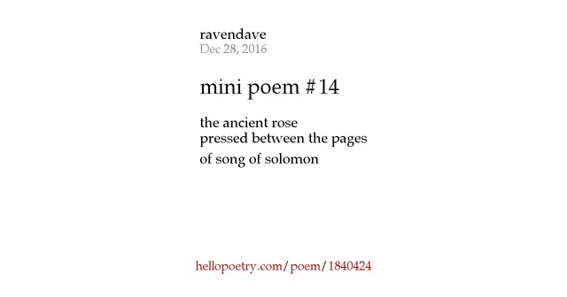 mini poem #14 by ravendave - Hello Poetry