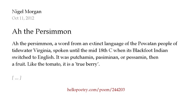 Ah the Persimmon by Nigel Morgan - Hello Poetry