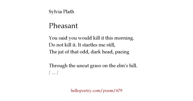 Pheasant by Sylvia Plath - Hello Poetry