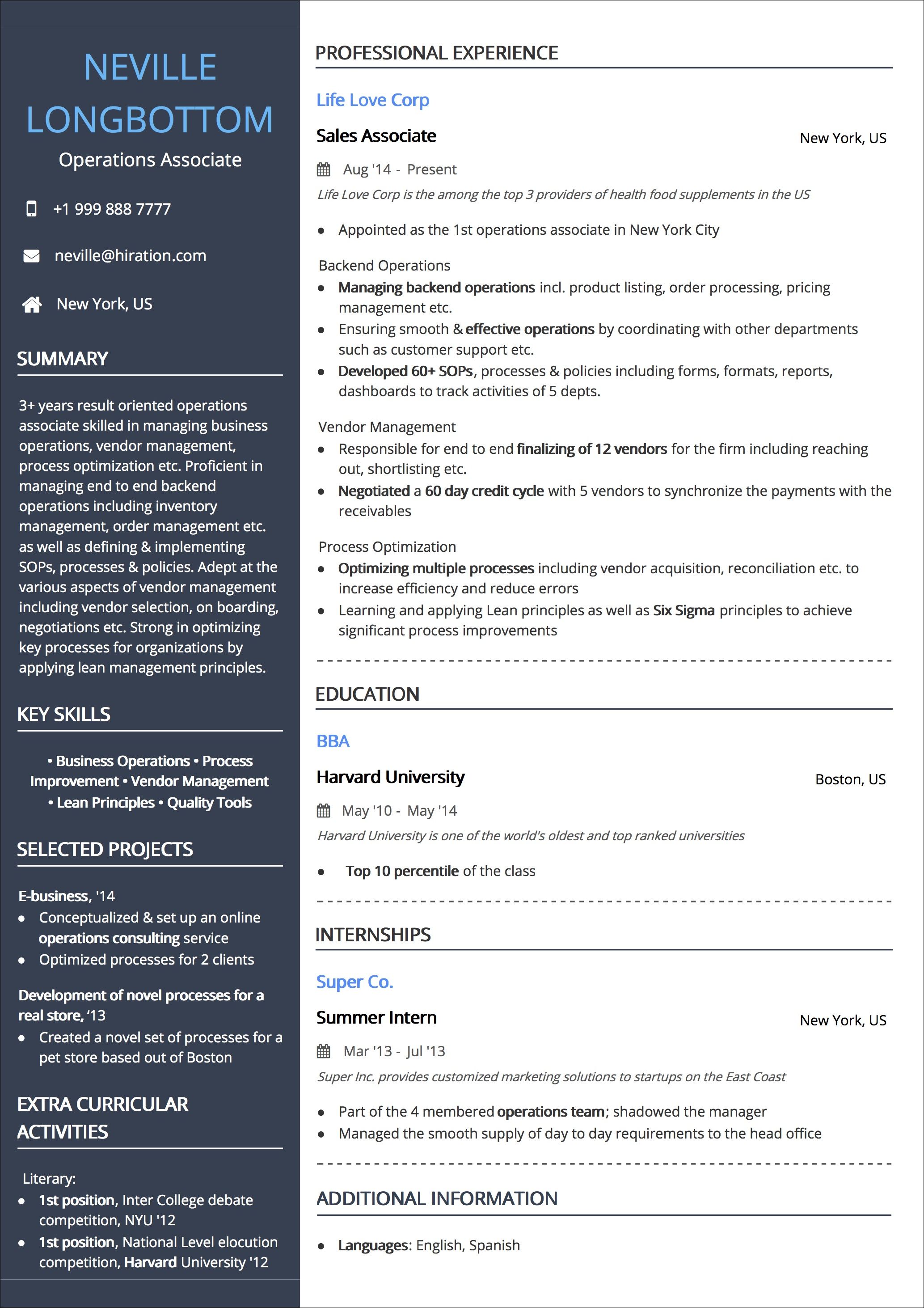 Sample Professional CV Template