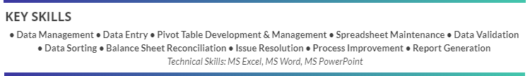 Excel Resume Examples With 3 Examples And 250 Resume Bullets