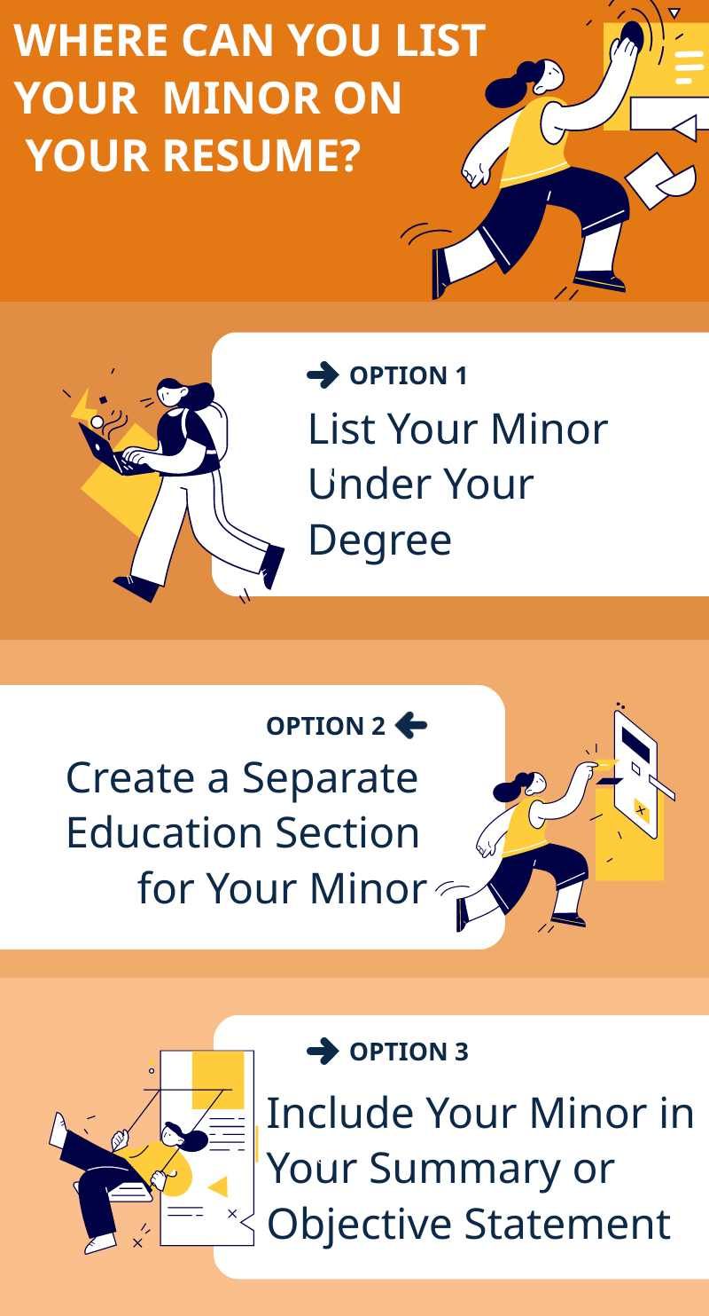 How To List A Minor On A Resume The Correct Way In 2023 