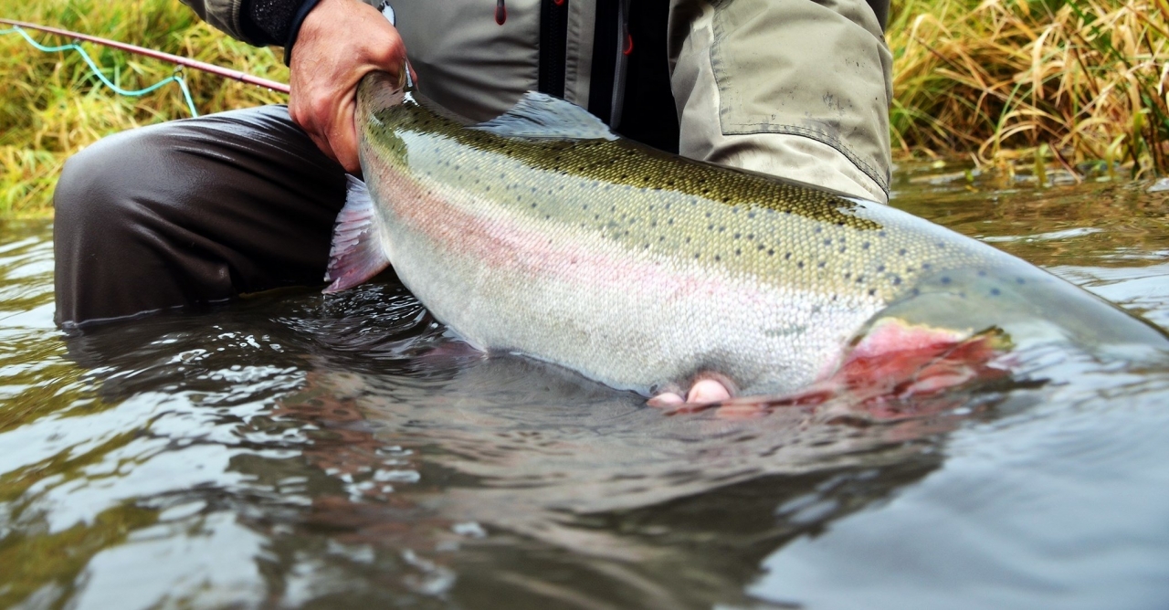 Business Categories - HuntPost.com