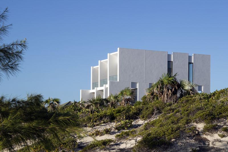 Windbreak / Blee Halligan