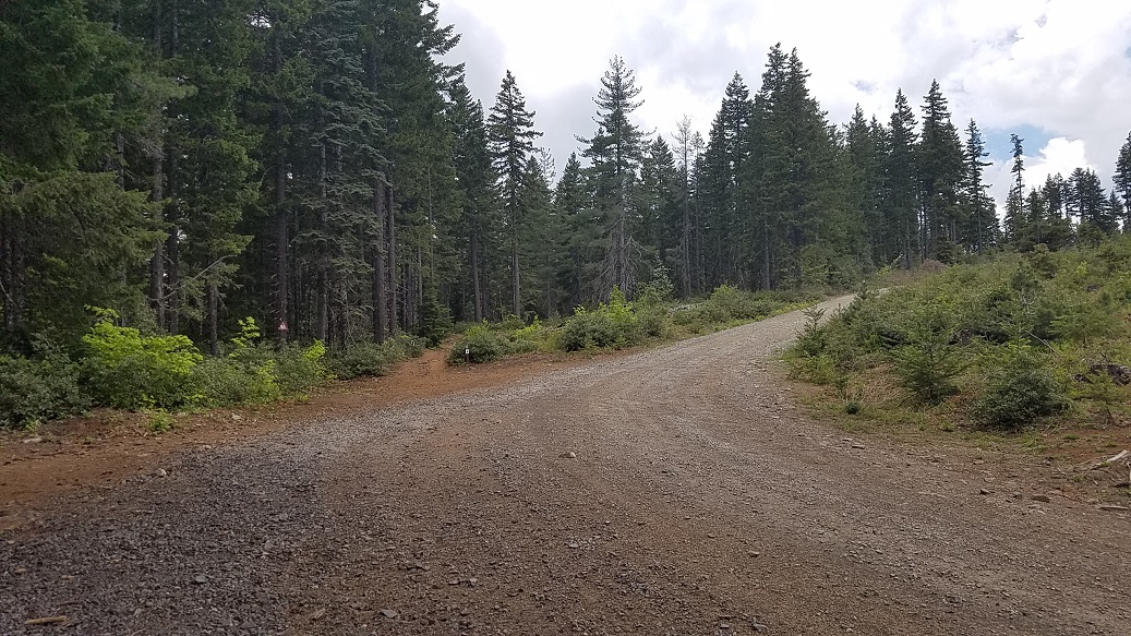 Hood River OHV Trail 199 - Oregon Offroad Trail