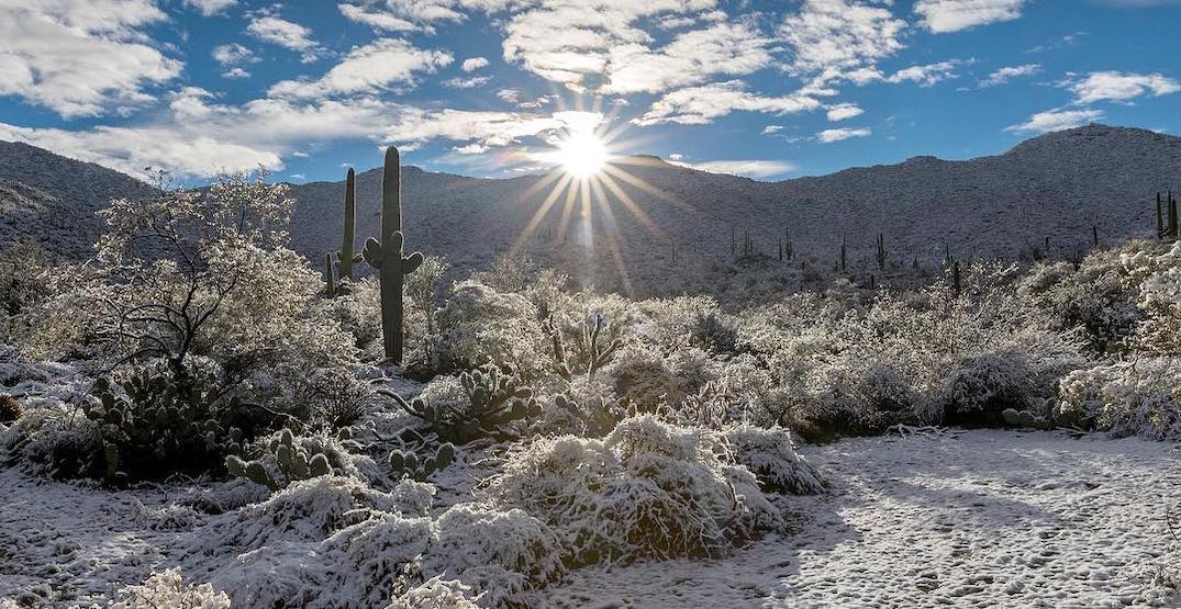Rare snowfall makes Arizona desert and Grand Canyon look otherworldly ...