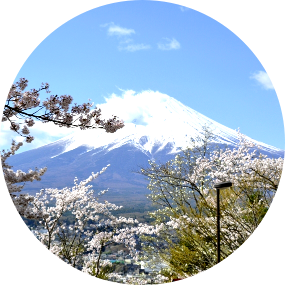 KYODO NEWS DIGITAL PR|Kyodo News+