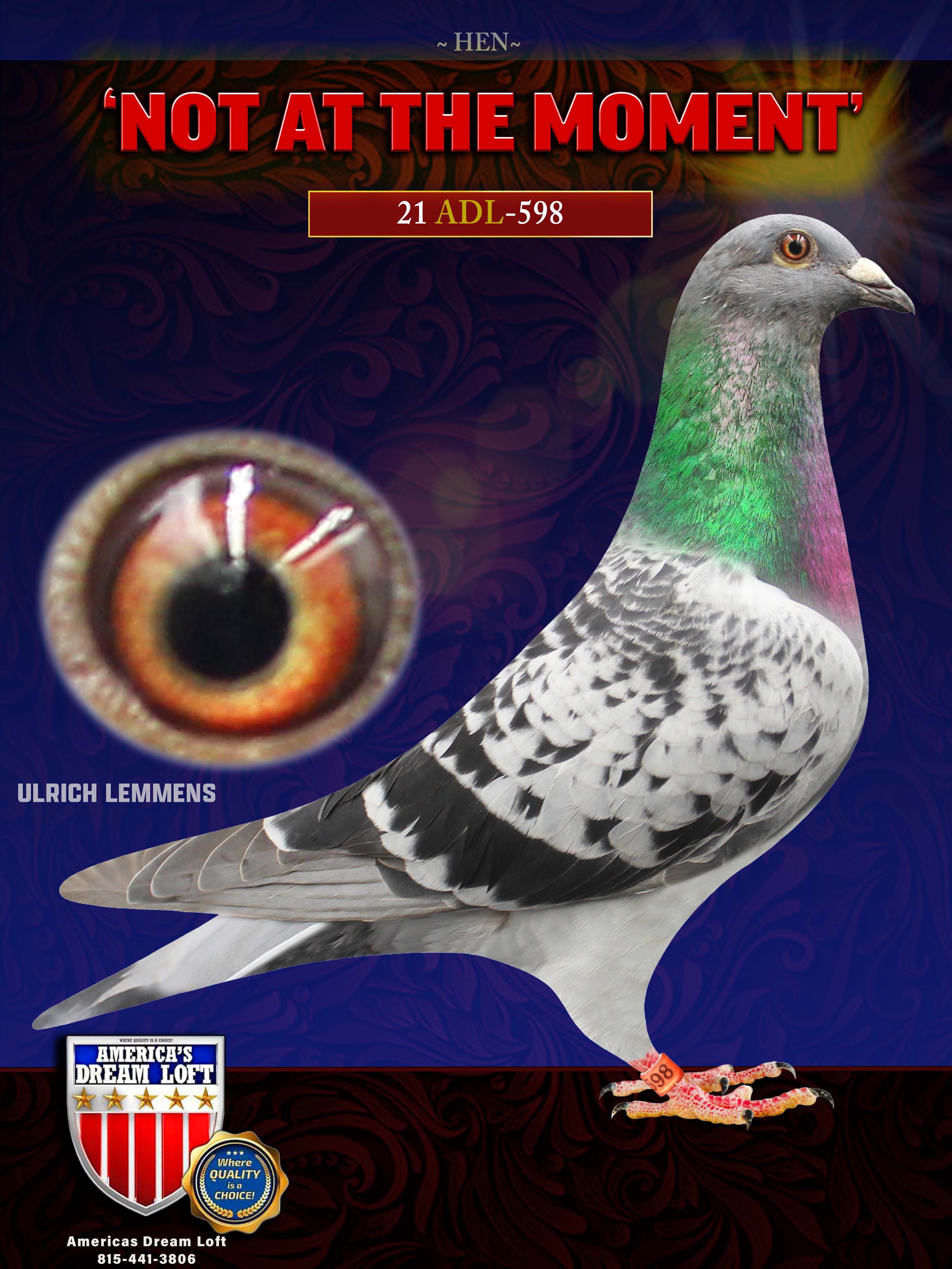 iPigeon.com - Racing Pigeon Auction