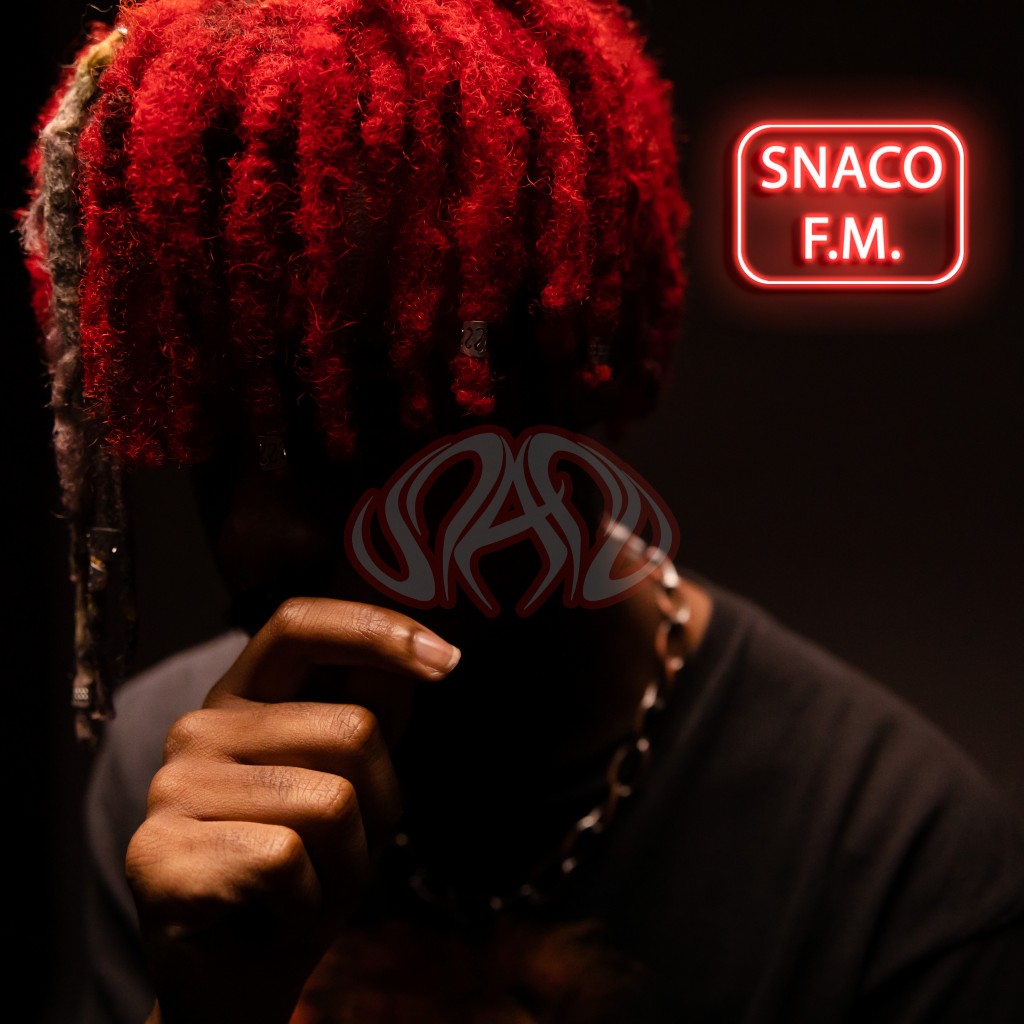 A-Level Entertainment Group Announces the new single “F.M.” from SNACO ...
