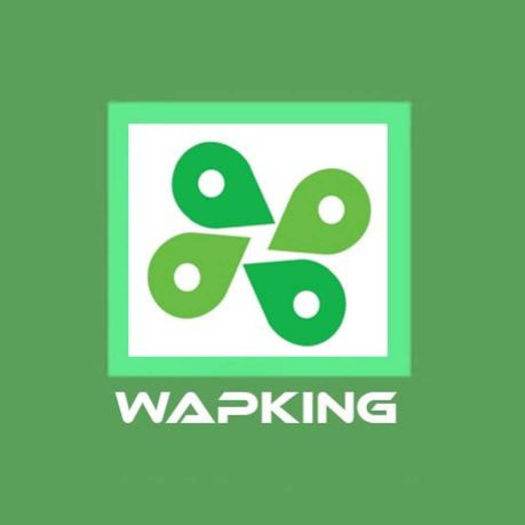 WapKing Technologies: Leading the Way in Innovative IT Services in ...
