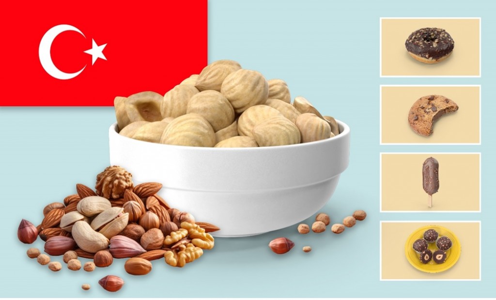 Turkish Hazelnuts: Nature's Nutrient-Rich Treasure for Your Well-Being ...