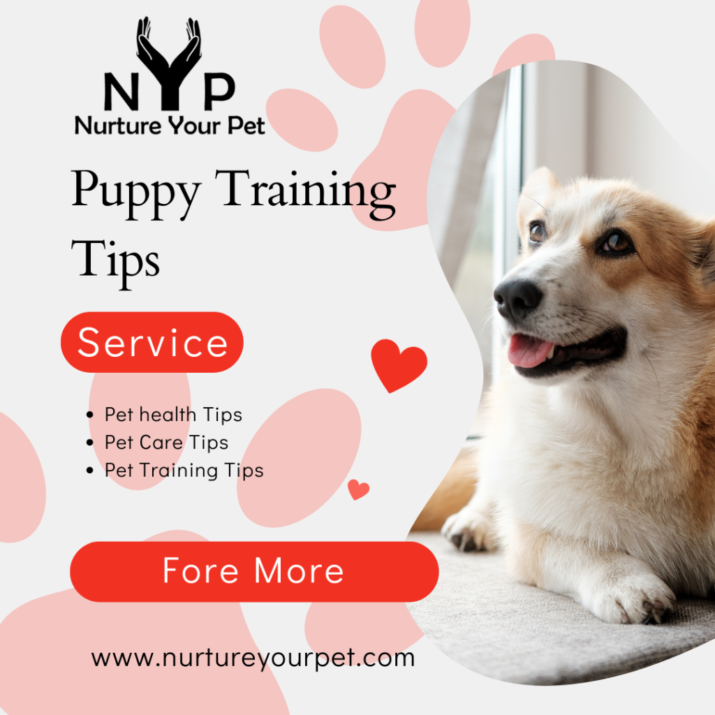 Unlock the Secrets to Paw-some Puppy Training with Nurture Your Pet's ...
