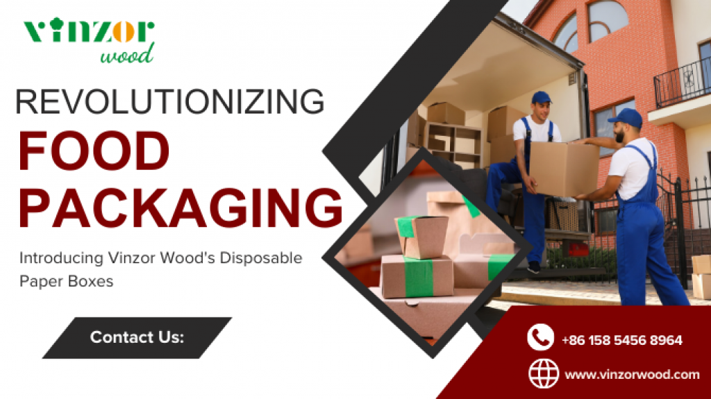 Revolutionizing Food Packaging: Introducing Vinzor Wood's Disposable ...