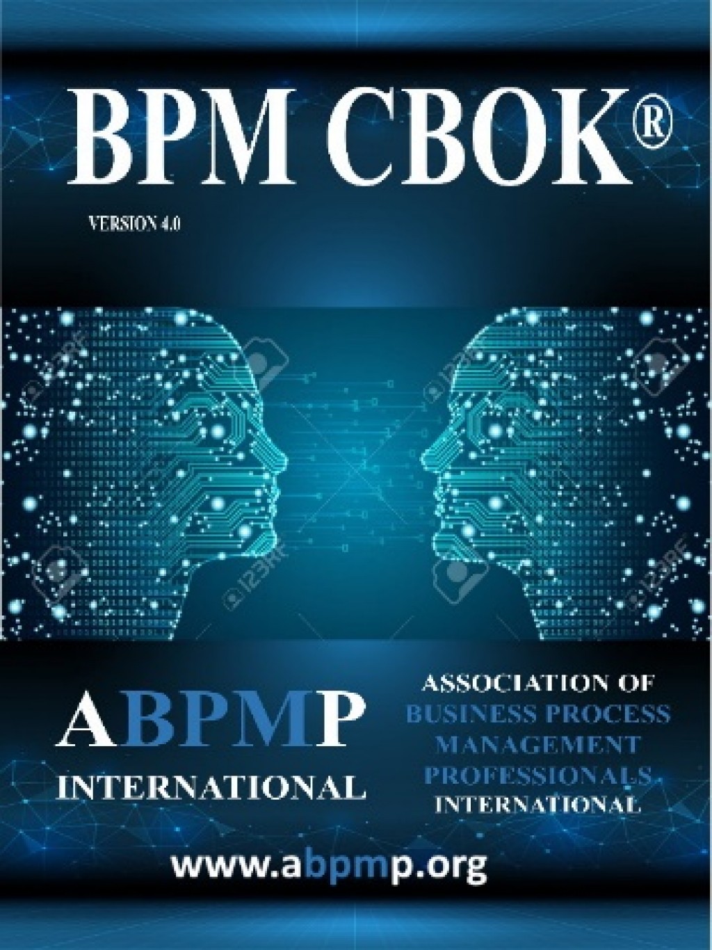 ABPMP International Guide to the Business Process Management Common ...