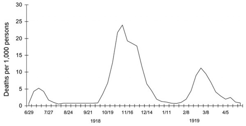 The Spanish Flu Pandemic of 1919 and the Stock Market - IssueWire