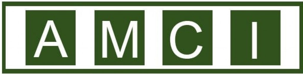 Everything You Need To Take On 2021 – Amci Associates Ltd, Is Here To ...