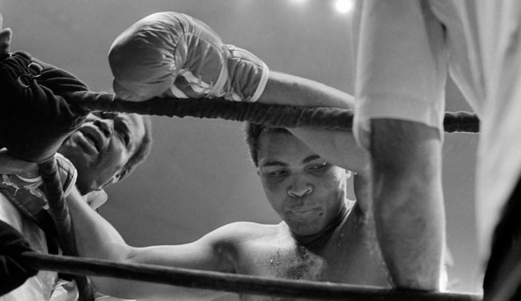 Mega Boxing - Vegas Style Professional Boxing Show, in India - IssueWire