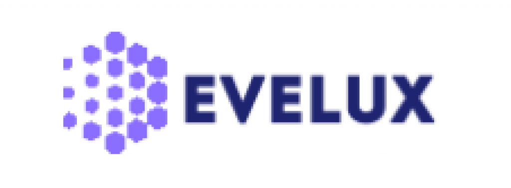 Evelux Offers the Best Strategic Digital Marketing Guidance and ...