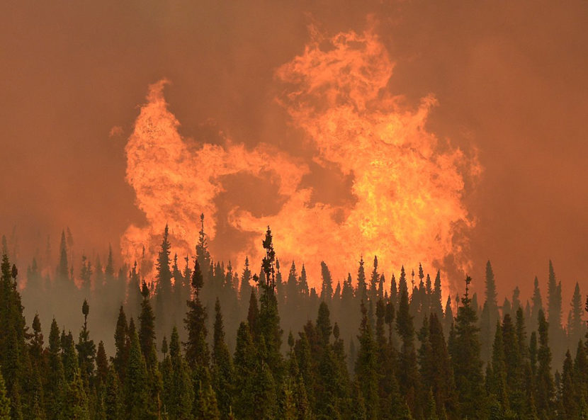 Yes, scientists say, Alaska wildfires linked to climate change