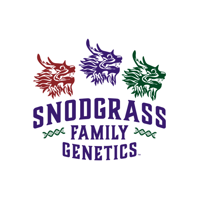 Snodgrass Family Genetics: Master Kush | Leafly