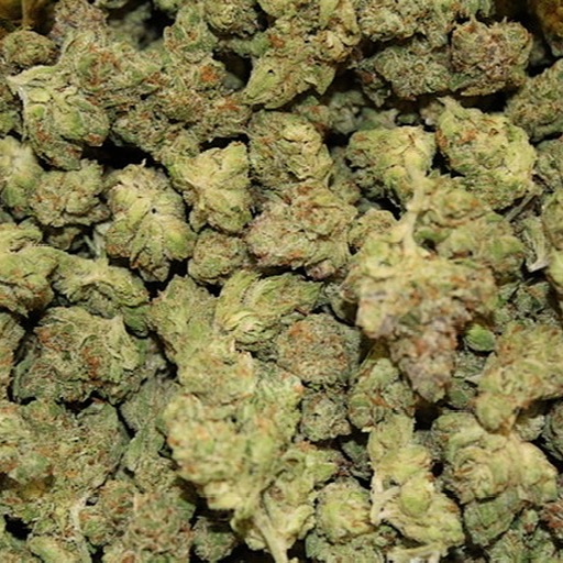 Tree Lean: Prezidential Kush | Leafly